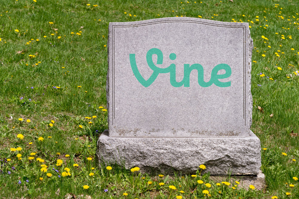 13 Of The Best Vines Ever To Commemorate Its Untimely Death ...
