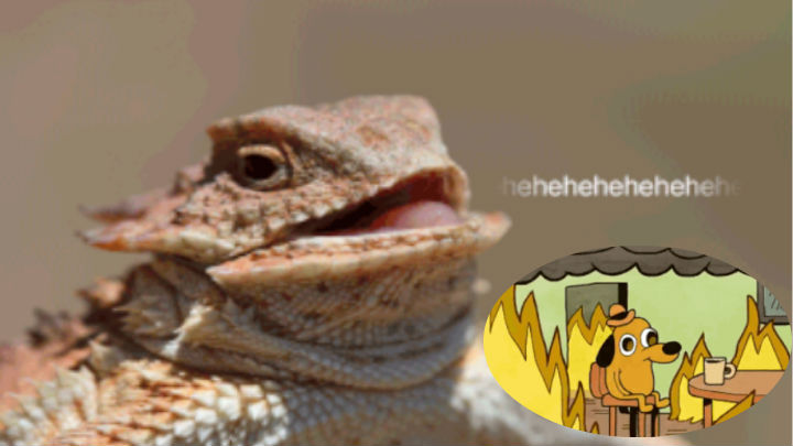 13 Of The Best Giphy S Ever Created