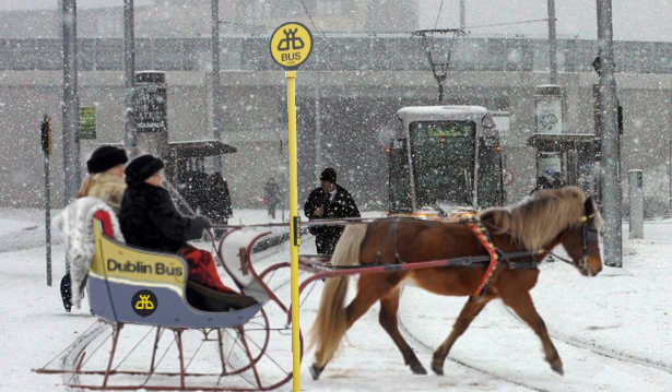 Struggling Dublin Bus To Be Replaced By New 'Dublin Sleds' Service ...