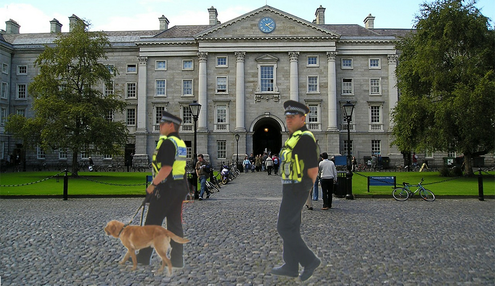 Trinity College Bringing In Sniffer Dogs To Check For Drugs On Campus ...