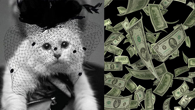 Meet Choupette Lagerfeld The World's Richest Cat | CollegeTimes.com