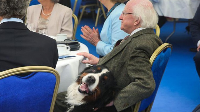 Watch: Michael D. Higgins Cuddles His Dog And It Is The Cutest Thing ...